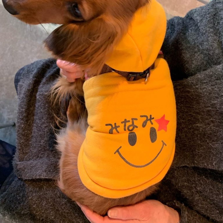 発寒店にカワイイお客様が🐶💕 発寒店blog 北海道三菱自動車販売株式会社 札幌及び道央地域の三菱自動車 新車・中古車販売会社